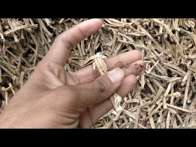 Herbal Plants - Dhamas Panchang - Jawasa - Alhagi Maurorum Manufacturer ...