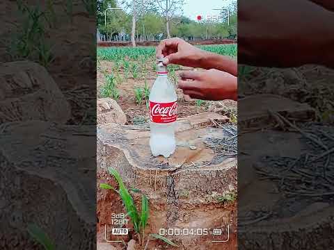 Calcium Carbonate Mixing In Water 🤩🤩🤩