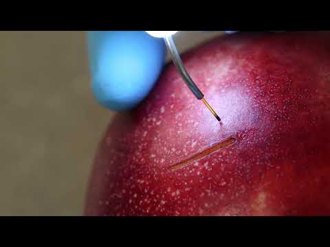 Correct technique for Gemini™ Laser | apple demonstration