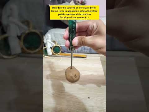 Newton's First Law of Motion #science #scienceandfun #experiment #physics #shorts #viral #trending
