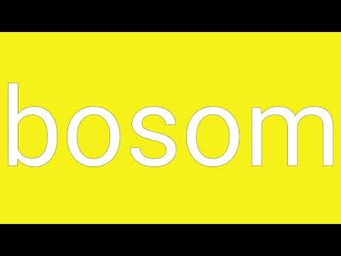 Bosom Definition & Meaning