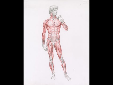 #shorts | NYAA IN PERSON COURSE - FIGURE DRAWING FOUNDATION