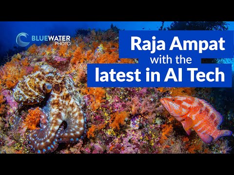Raja Ampat dengan Teknologi AI Terbaru