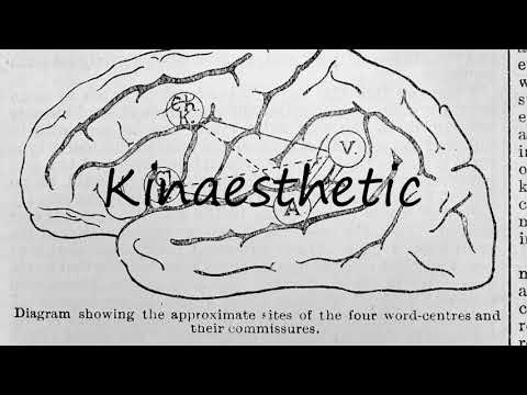 How to Pronounce Kinaesthetic?