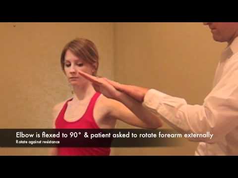 Hornblower’s test – Teres Minor test | fysiotests