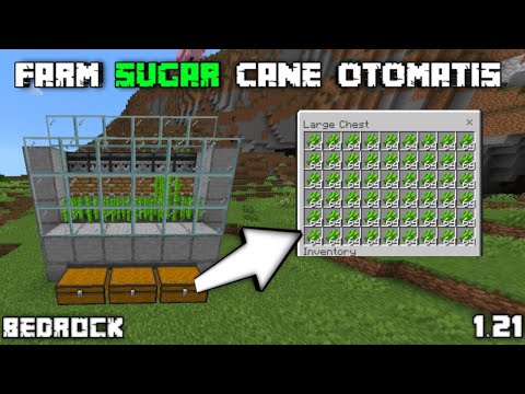CARA MEMBUAT FARM SUGAR CANE OTOMATIS DI MINECRAFT BEDROCK VERSI 1.21