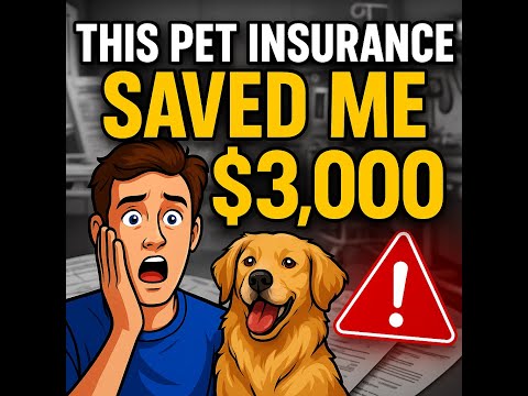 This Pet Insurance Saved Me $3,000 – Real Story & Honest Review!