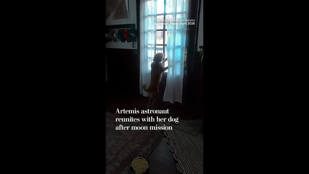 Artemis astronaut reunites with her dog after moon mission
