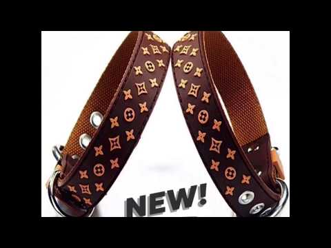Frenchies Goodies Online Pet Store - Fashion Dog Collars Collection