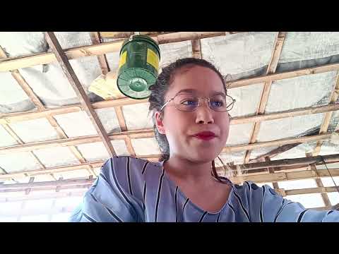 Campaign speech for running an SK chairman (for school purpose only)