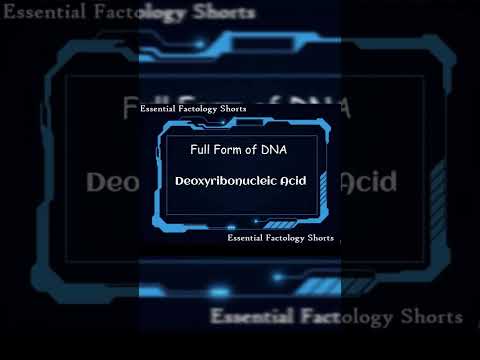 full form of DNA