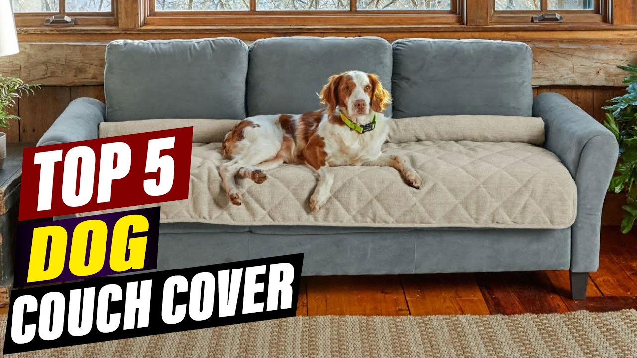 Top 5 Dog Couch Covers: Reviews & Comparisons