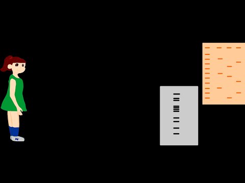DNA fingerprinting - principle,procedure and application