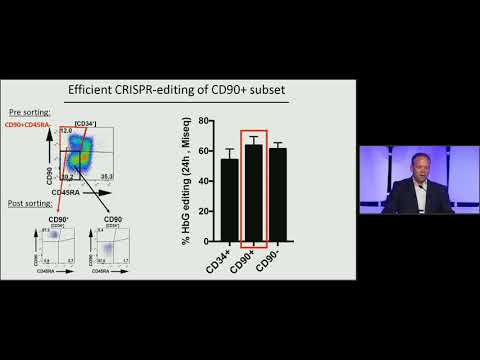 Transplantation and Persistence of CRISPR/Cas9-Edited Hematopoietic Stem and Progenitors Cells