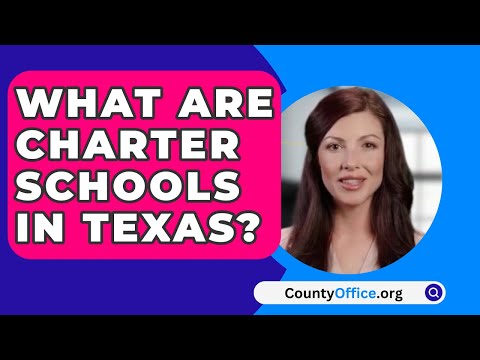 What Are Charter Schools In Texas? - CountyOffice.org