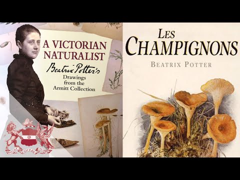 Mushroom drawings/ art, Beatrix Potter Society | Naturalist Blog