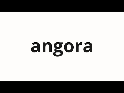 How to pronounce angora | アンゴラ (Angola in Japanese)