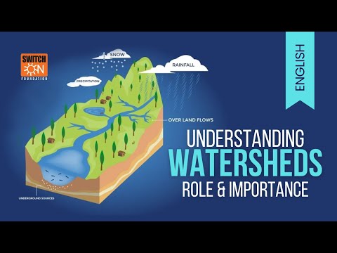 Watersheds Explained: Essential Guide to Water Management & Conservation | ENGLISH
