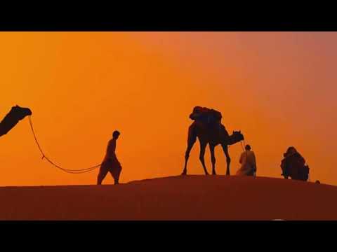 5 Days in Tunisia 🇹🇳 | The Ultimate Travel Plan You Can’t Miss!