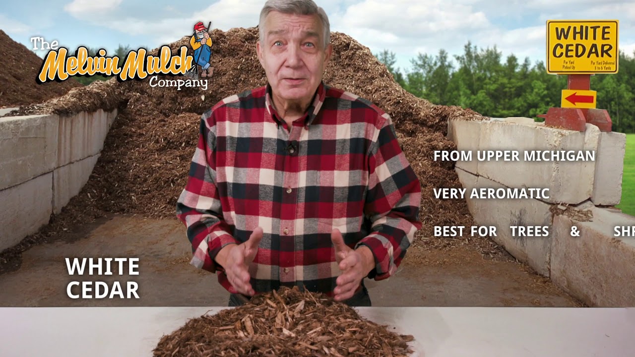 Melvin Mulch White Cedar Mulch