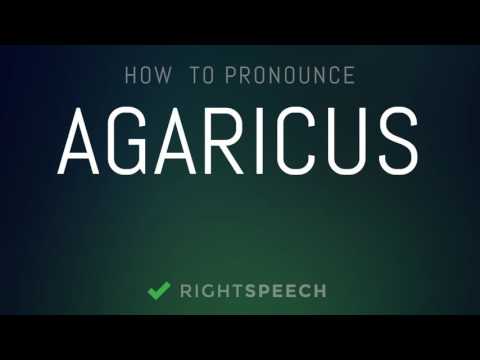 Agaricus - How to pronounce Agaricus