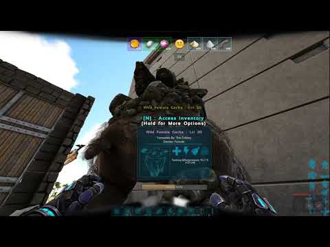Steam Community :: Video :: Ark - Upgrade My Dino - Wild Gacha HUD ...