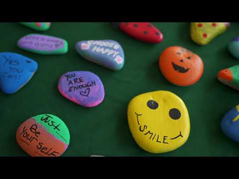 Kindness Rocks DCU