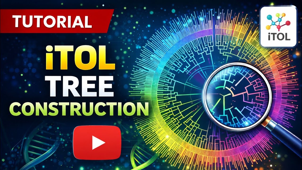 iTOL Tree Construction Tutorial 🔥 Build Phylogenetic Tree Step-by-Step | Bioinformatics