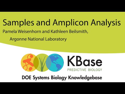 Samples and Amplicons in KBase - 11 November 2021