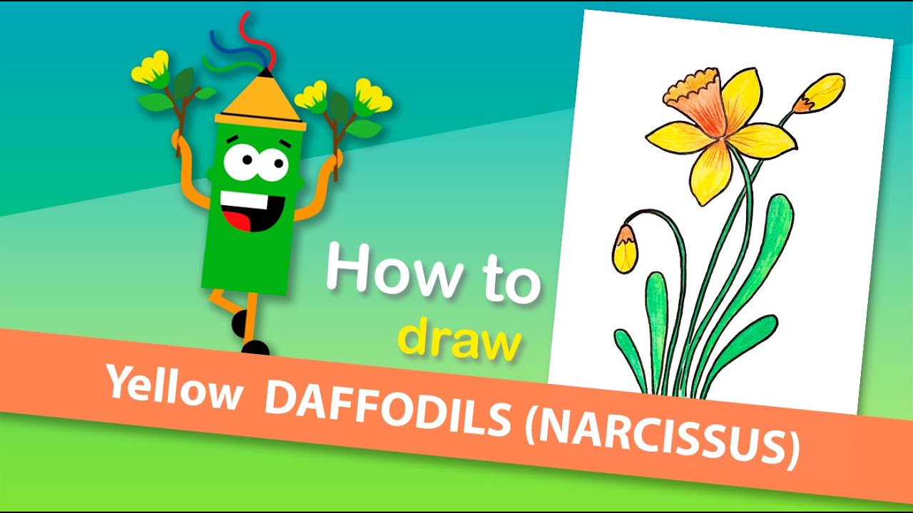 Draw a golden yellow Daffodils (Narcissus) with Easy Pen