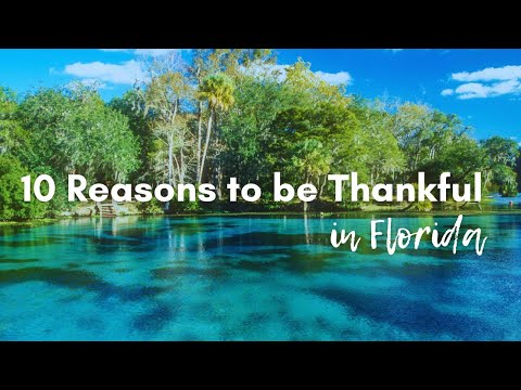 Reasons to be Thankful in Florida