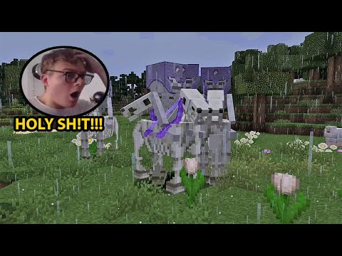 Gamers Reaction to Skeleton Horse/Skeleton Horse Trap in Minecraft