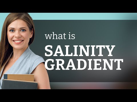 Understanding Salinity Gradient: A Dive into Ocean Science