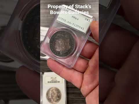 The King and Queen of Morgan Silver Dollars