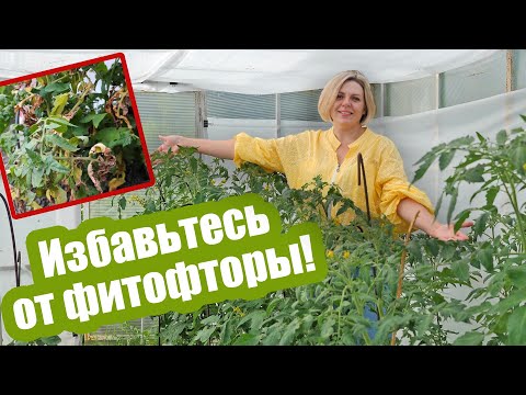 Сайт для садоводов, огородников и дачников Антонов сад