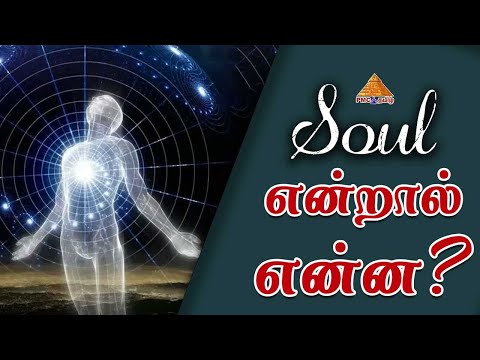 Soul என்றால் என்ன ?? || What is Soul Explained In Tamil || Sanjay || PMC Tamil