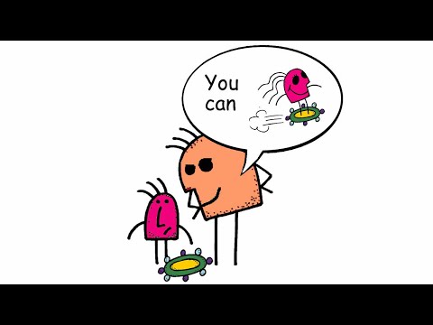 American Sign Language ASL Video Dictionary - cheer