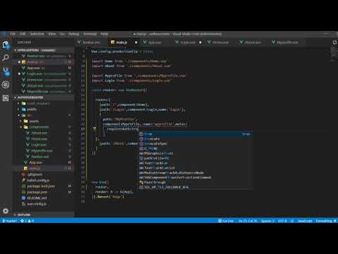 Vue Js - Vue Router - Authentication control