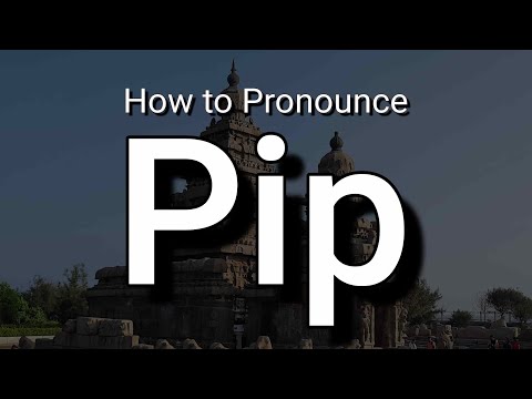 Pip - Pronunciation and Meaning
