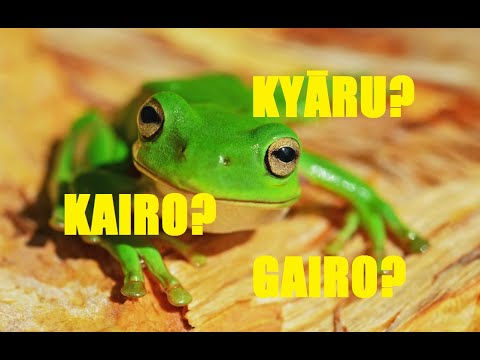 Chapter Six: Kaeru or Kairo – Why Not Make a FAKE Dialect?