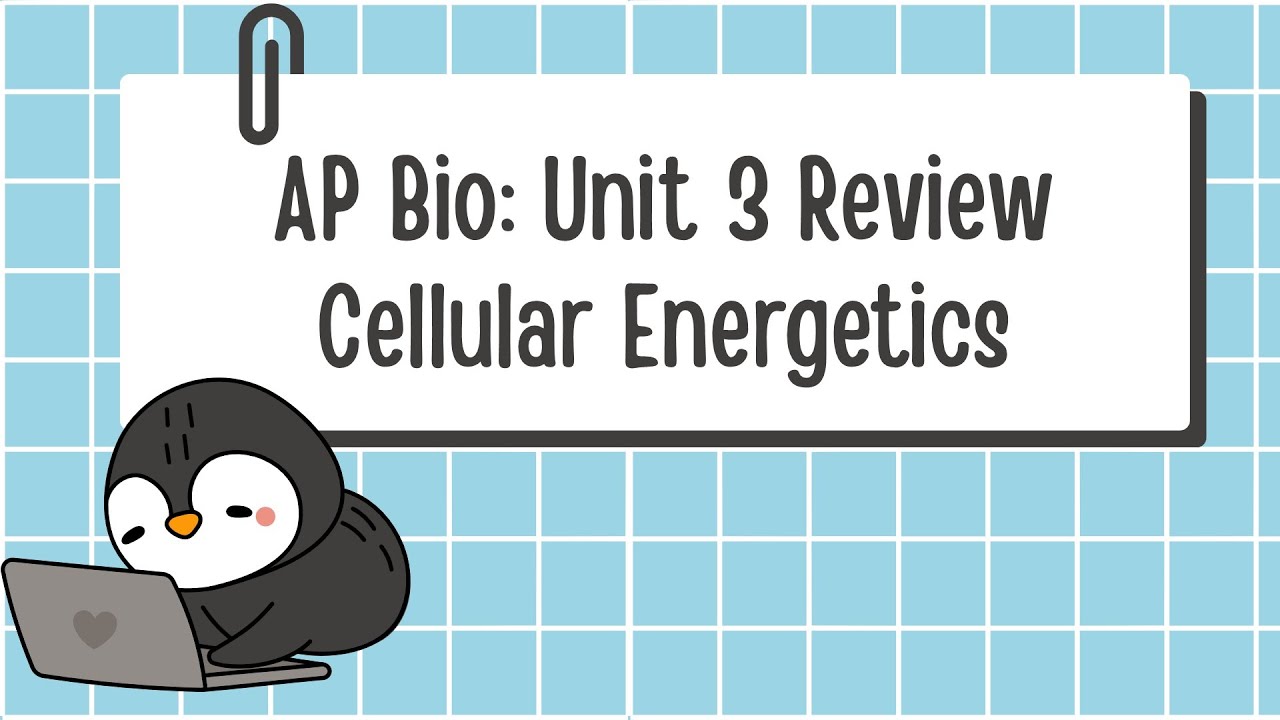 Unit 3 AP Biology Review