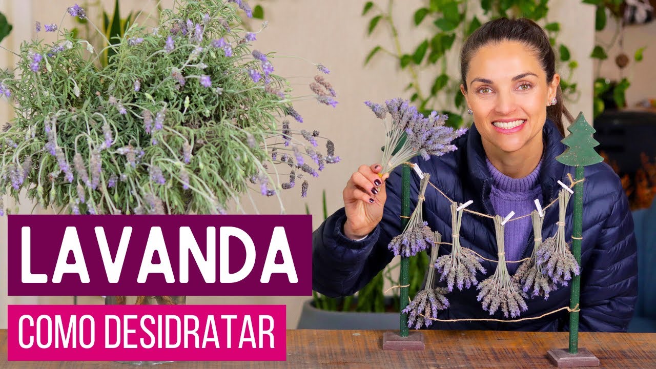 LAVENDER - HOW TO DEHYDRATE FLOWERS and SEVERAL IDEAS for USING THEM