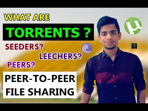 What are Torrents? | Peers?, Seeders?, Leechers? | Peer to Peer File Sharing Explained