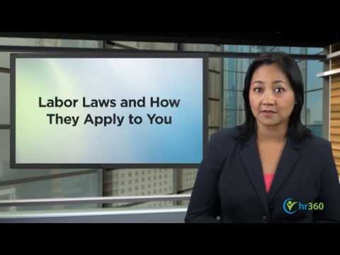 Labor Laws by Company Size Chart