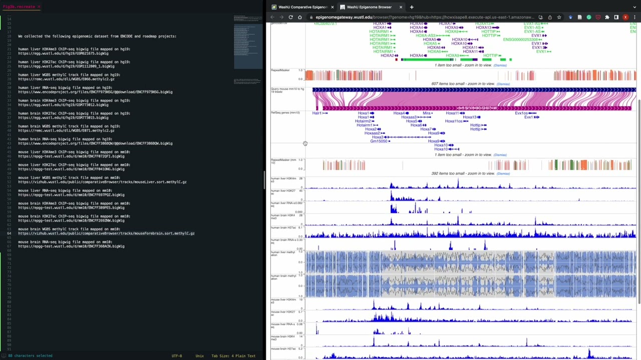 Comparative Epigenome Browser Showcase: create a human-mouse multiple tracks comparison view