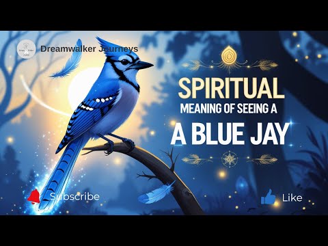 Spiritual Meaning of Seeing a Blue Jay | Clarity, Communication, and Spiritual Protection