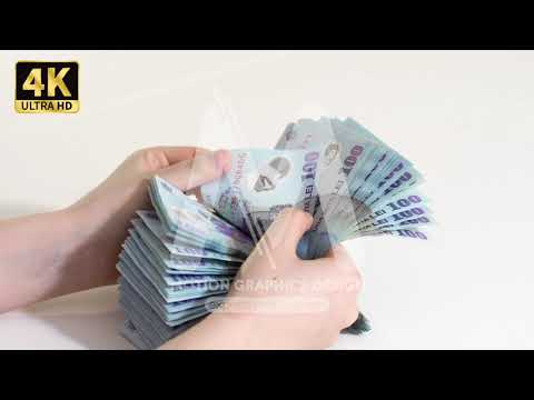 Woman counting cash Romanian currency Lei Ron