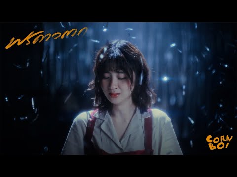 คอร์ดเพลง พรดาวตก CORNBOI | dochord.com