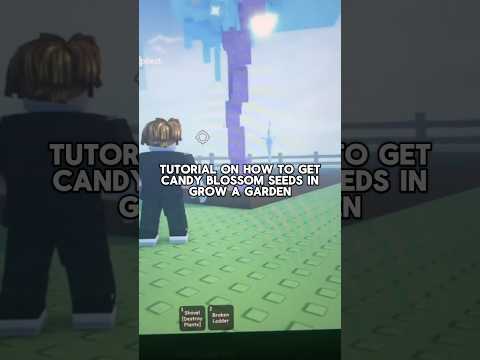 How To Get Candy Blossom Seeds in Grow A Garden (Glitch) #growagarden #roblox #candyblossom
