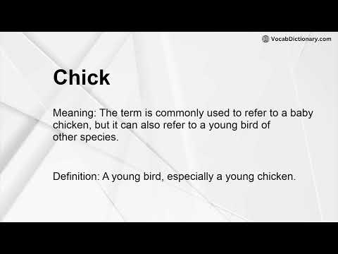 Chick Meaning
